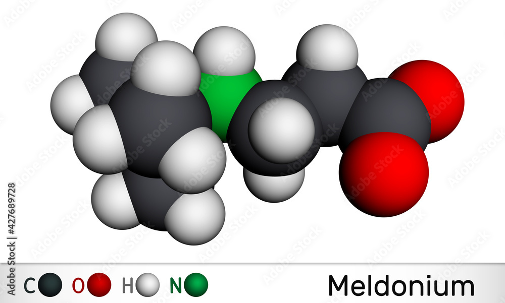 Meldonium molecule. Cardioprotective drug used for treatment of heart ...