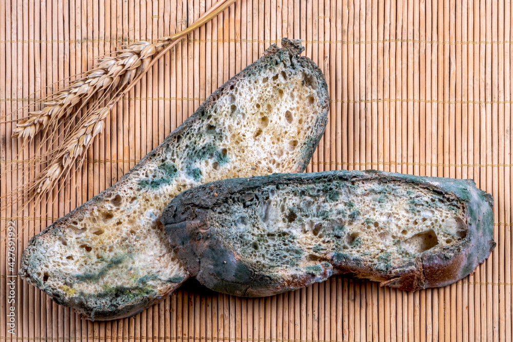 Moldy bread slices placed on wicker floor. Stale bread with aspergillus ...