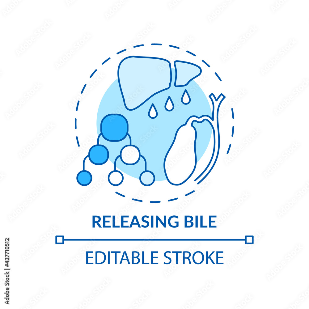 Releasing bile concept icon. Liver function idea thin line illustration ...