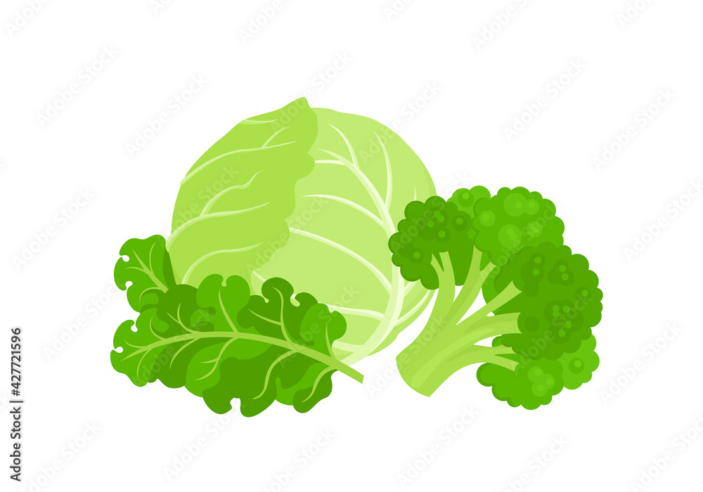 Cartoon broccoli, cabbage and kale isolated on white. Heap of green ...