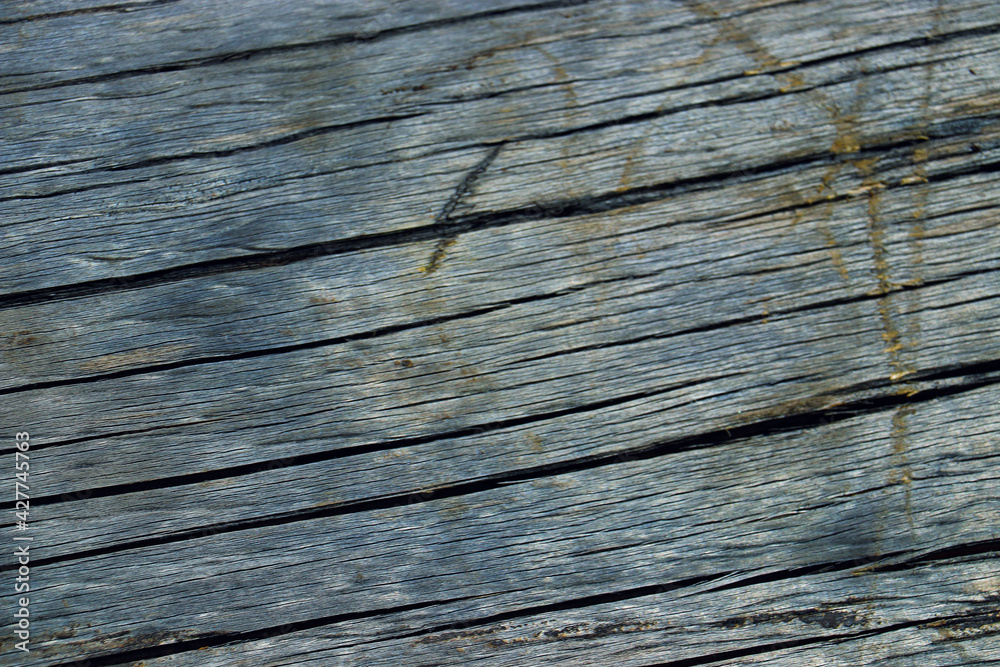 wood tree timber background texture structure backdrop Stock Photo ...