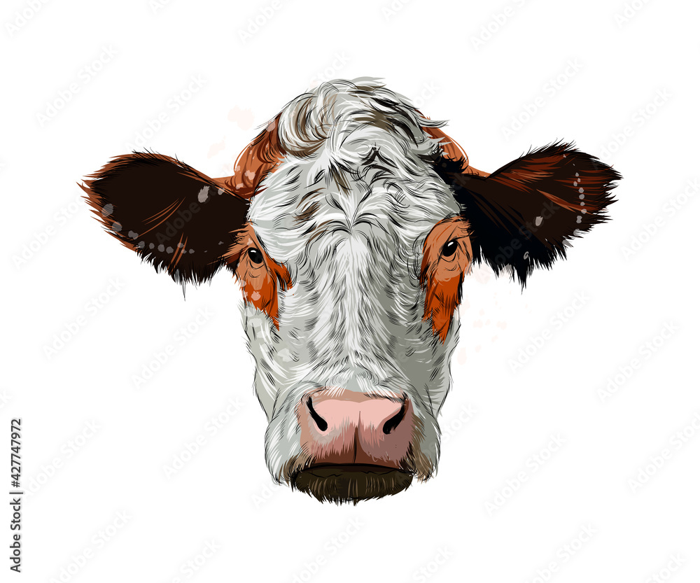 Brown cow head portrait from a splash of watercolor, colored drawing ...