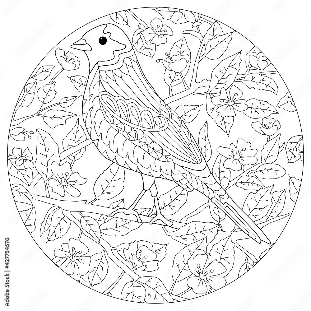 Hand drawn round shape coloring page for kids and adults. Beautiful ...