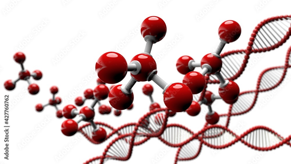 Red Molecular structure and Red DNA Model Structure under White ...