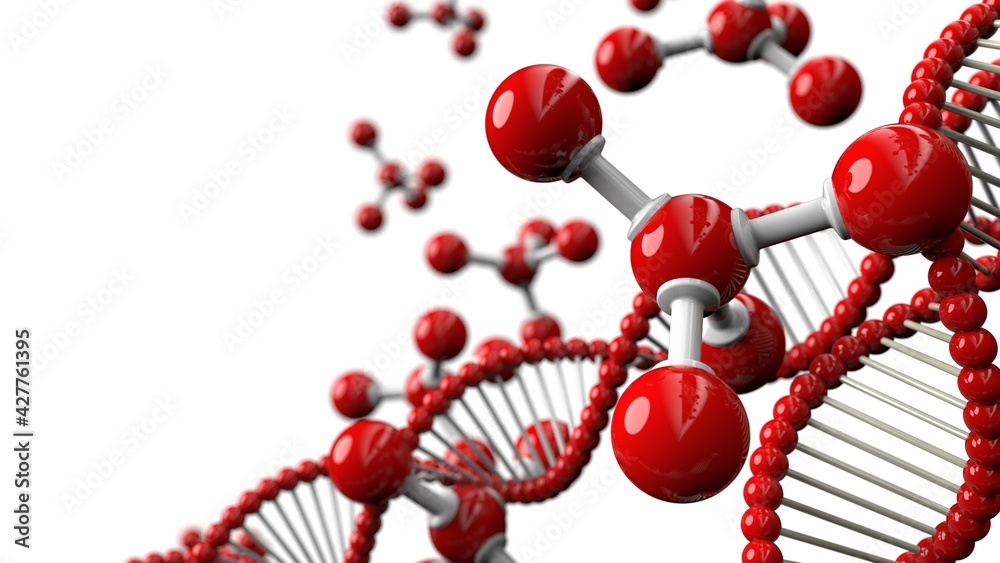 Red Molecular structure and Red DNA Model Structure under White ...