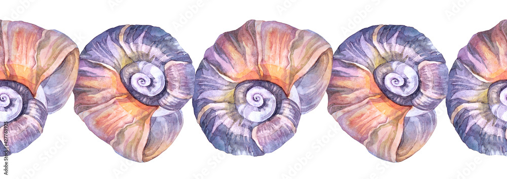 Seamless border watercolor pink brown sea shell isolated on white ...