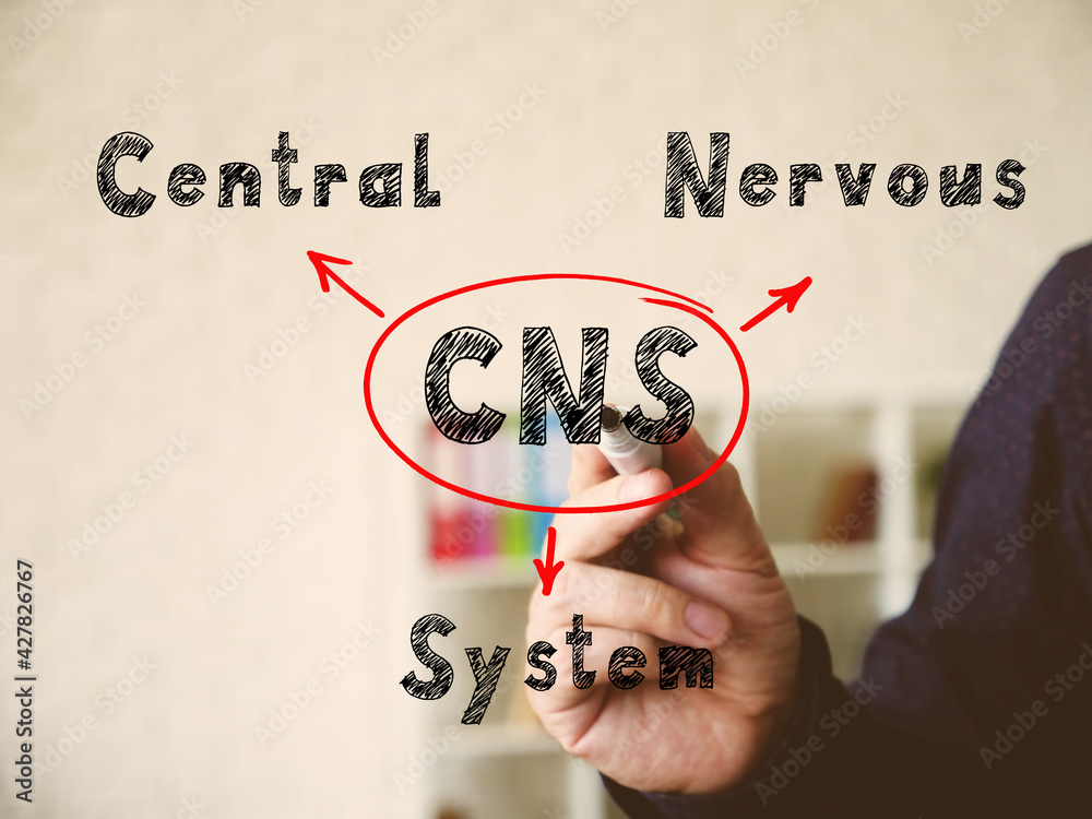 Written phrase CNS Central Nervous System . Male hand with marker write ...