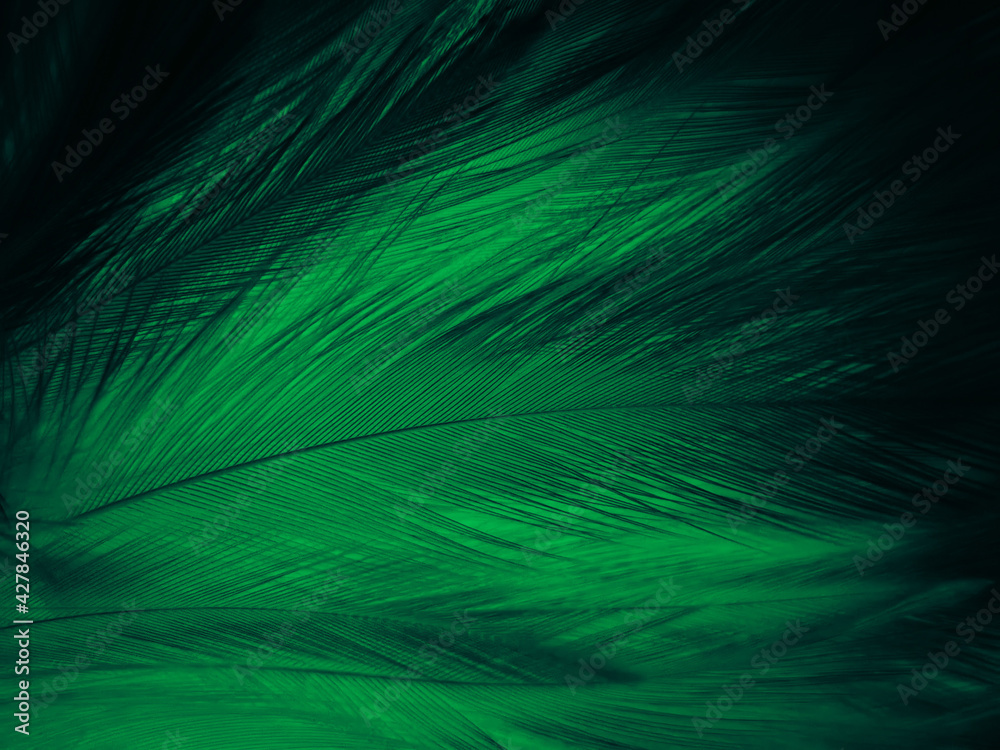 Beautiful abstract green feathers on white background, yellow feather ...