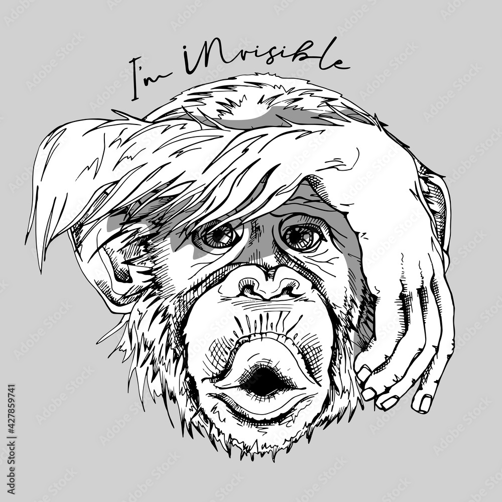 Funny Monkey has its eyes covered by its hand. I'm INvisible ...