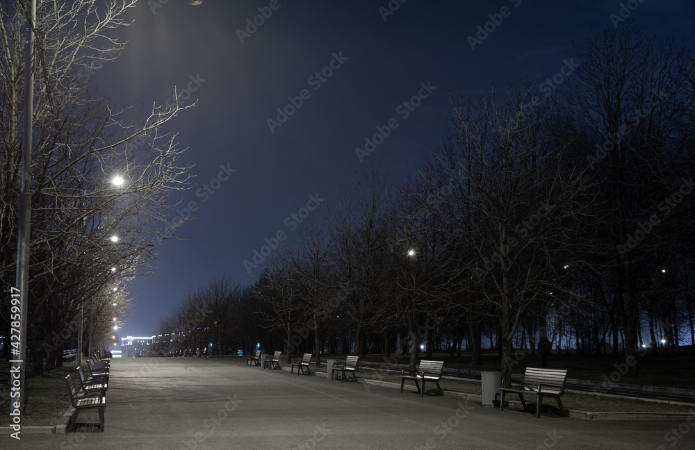 Empty Park At Night