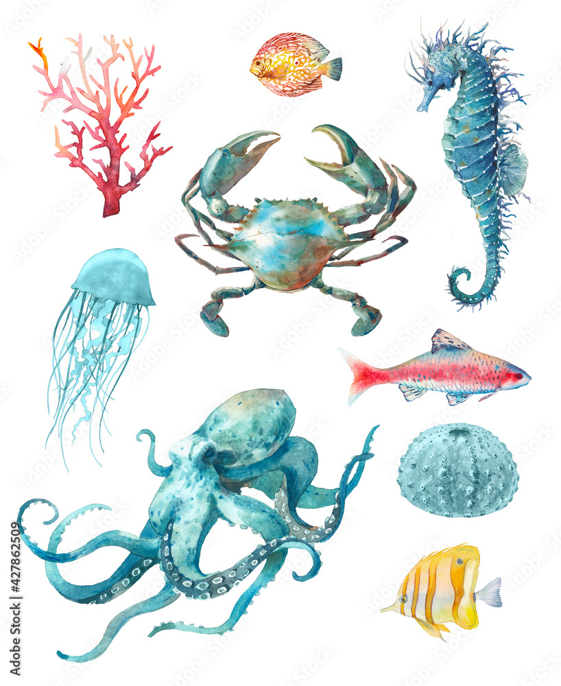 Watercolor sea animals poster: crab, octopus, jelly fish, coral and ...