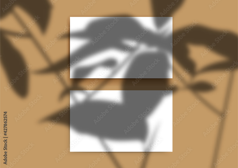 Mockup business cards. Overlay shadow of twigs and leaves Stock Vector ...
