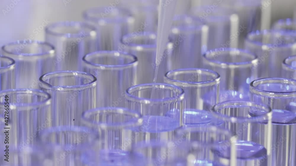A clear liquid is poured into a medical test tube using a pipette ...