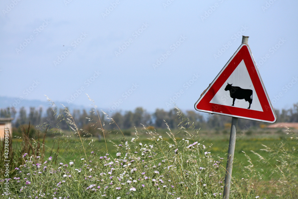 Segnale stradale di pericolo che indica animali domestici vaganti, nel ...