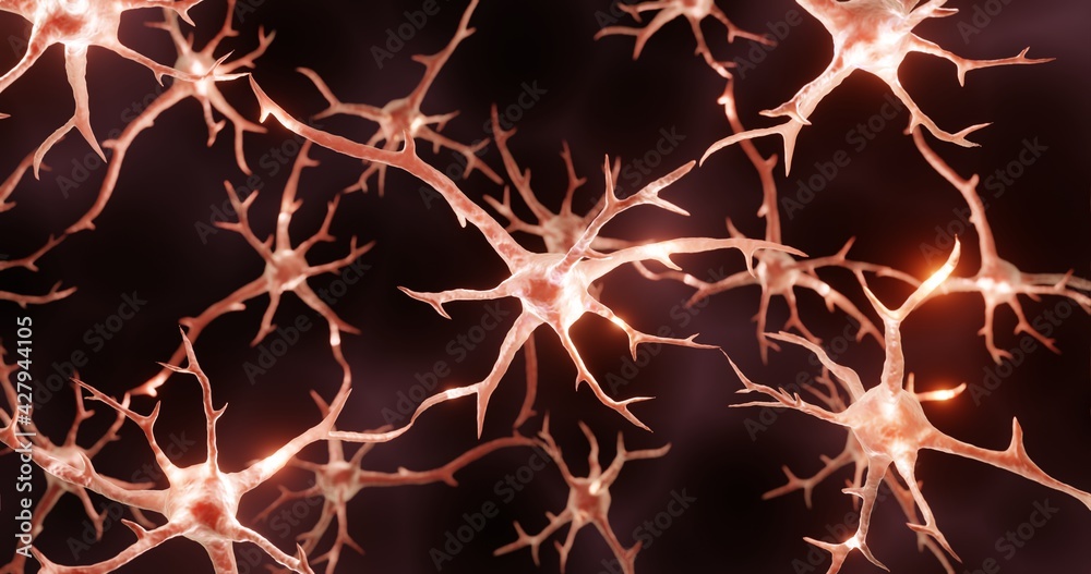 Nervous System Background