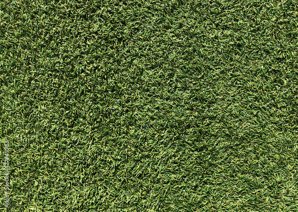Nature concept - fresh green grass texture for background Stock Photo ...