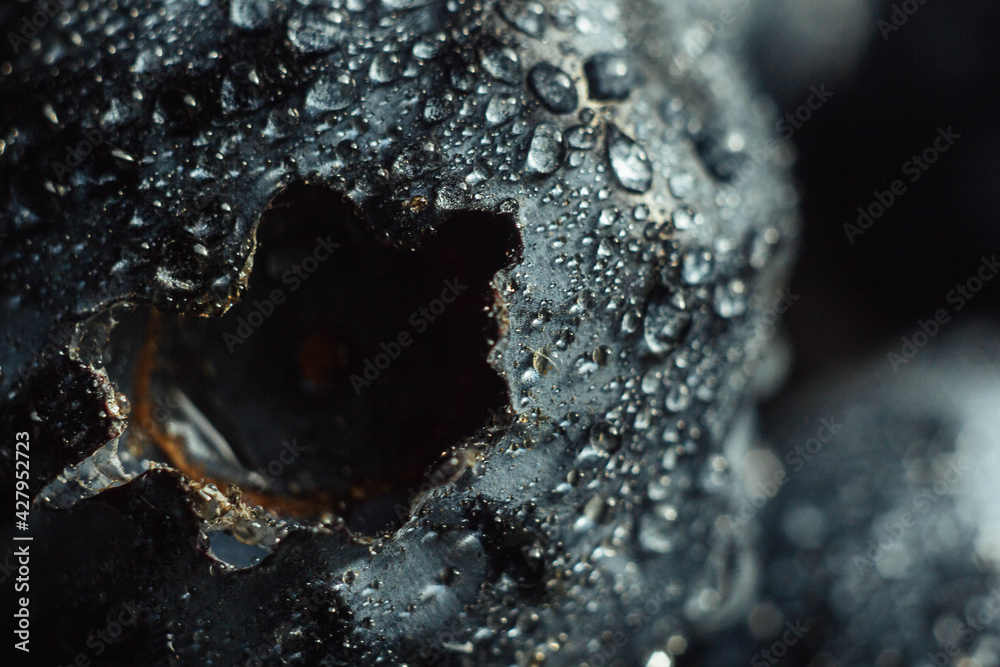 Blueberries with water drops. Beautiful macro photo of a berry. desktop ...