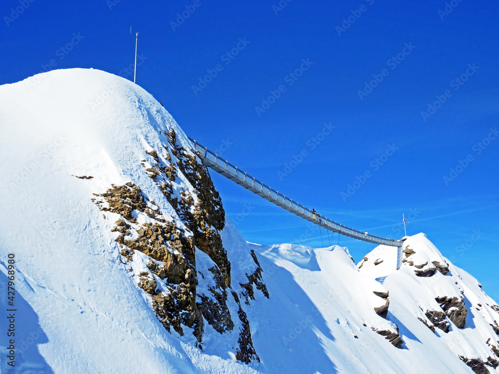 Peak walk on the Suspension bridge between two mountain peaks (Travel ...