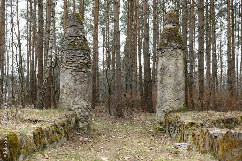 Interesting columns in forest in Plociczno, Kociewie, Poland - remnant ...