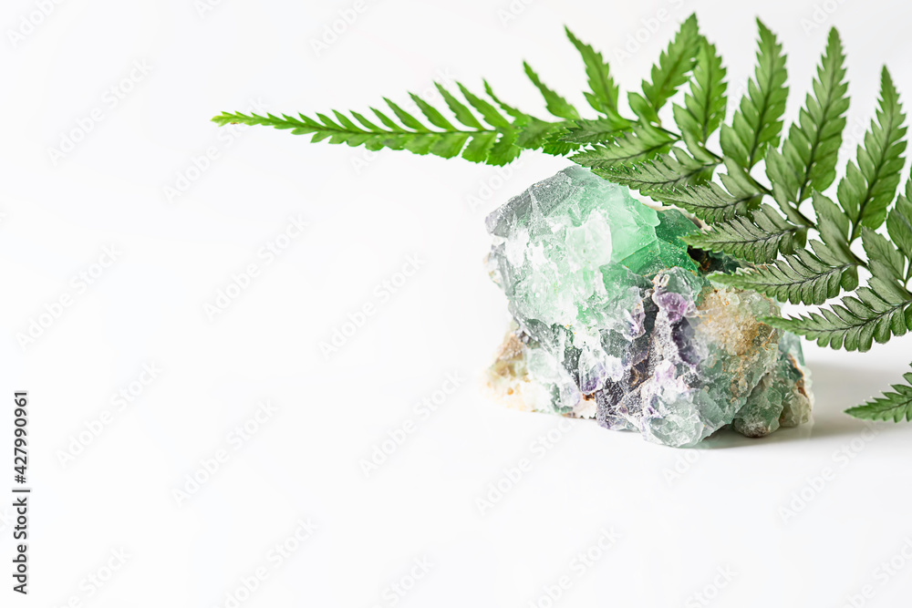 Healing Crystals and a fern branch. Natural gemstones. Gemstones are ...