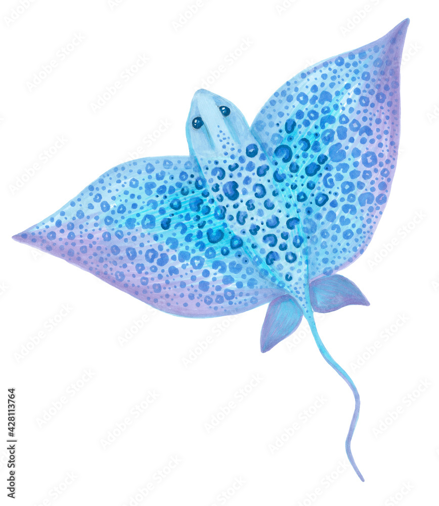 Blue stingray isolated on white background. Hand drawn illustration ...