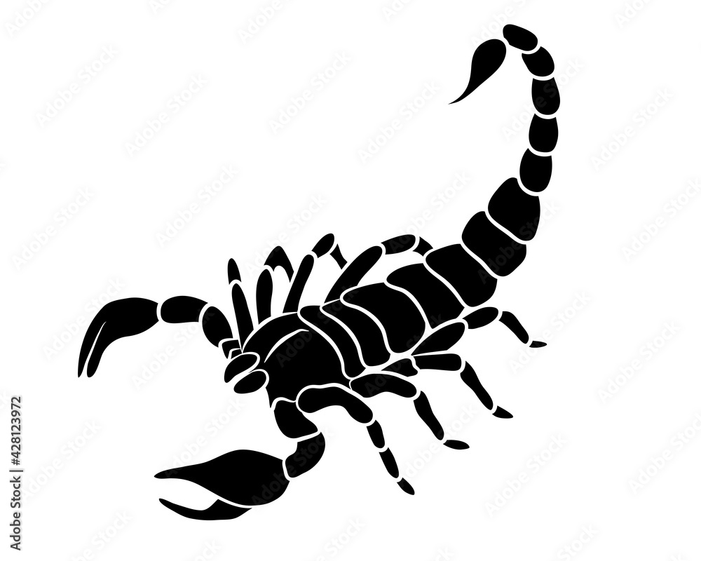 Graphic scorpion isolated on white background, vector illustration for ...