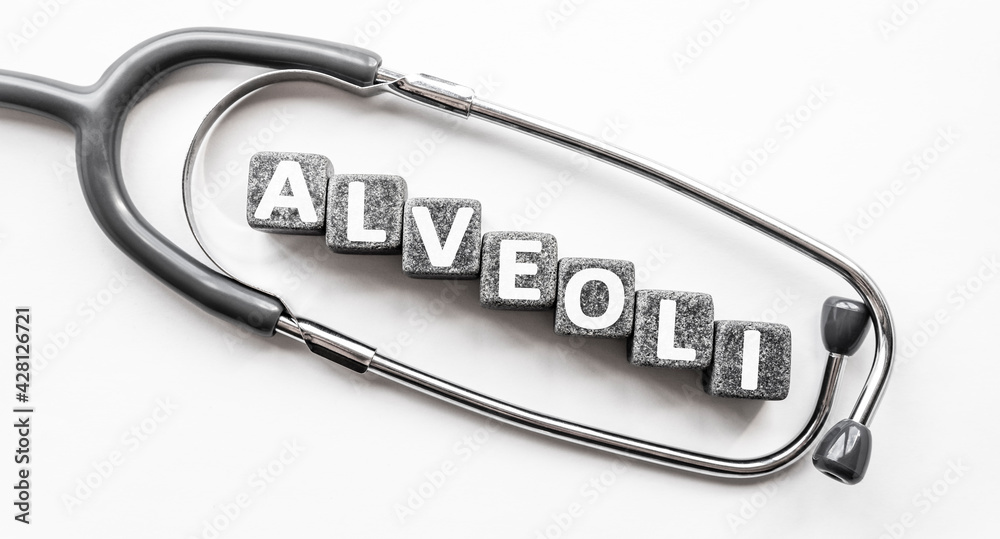 Stone block form word ALVEOLI with stethoscope. White background ...