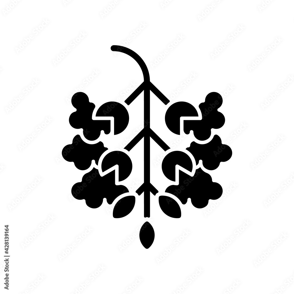 Poplar tree pollen black glyph icon. Cottonwood plant. Cause of ...