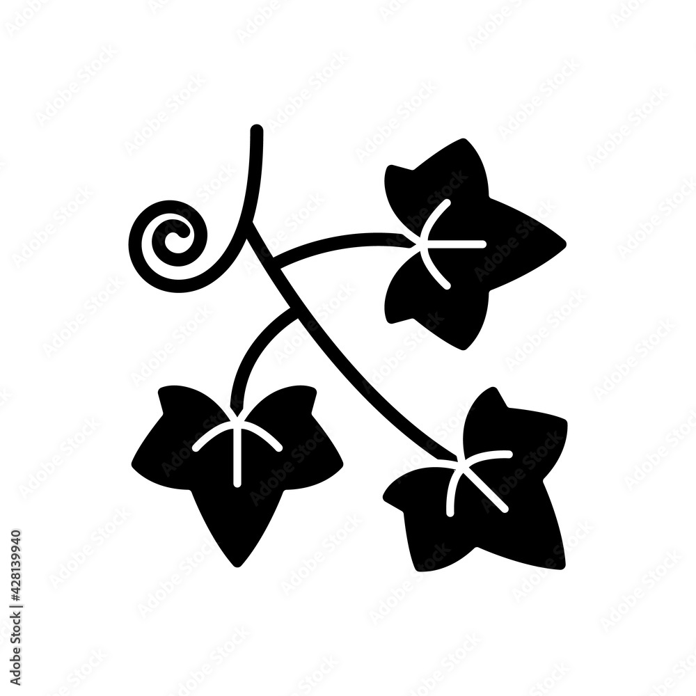 English ivy black glyph icon. Hedera helix, vine. Crawling flowering ...