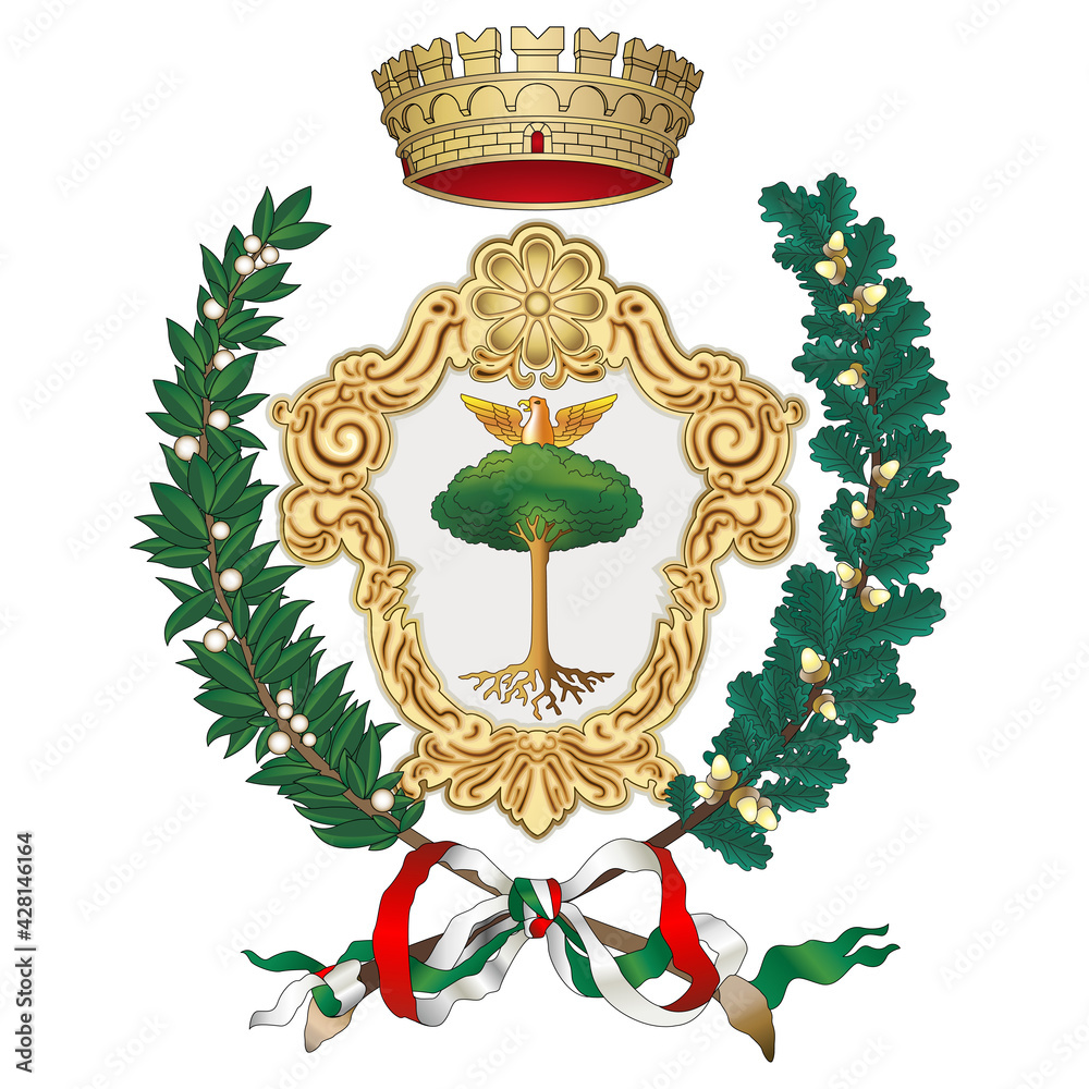 Carpi, Italy, coat of arms of the municipality, vector illustration ...
