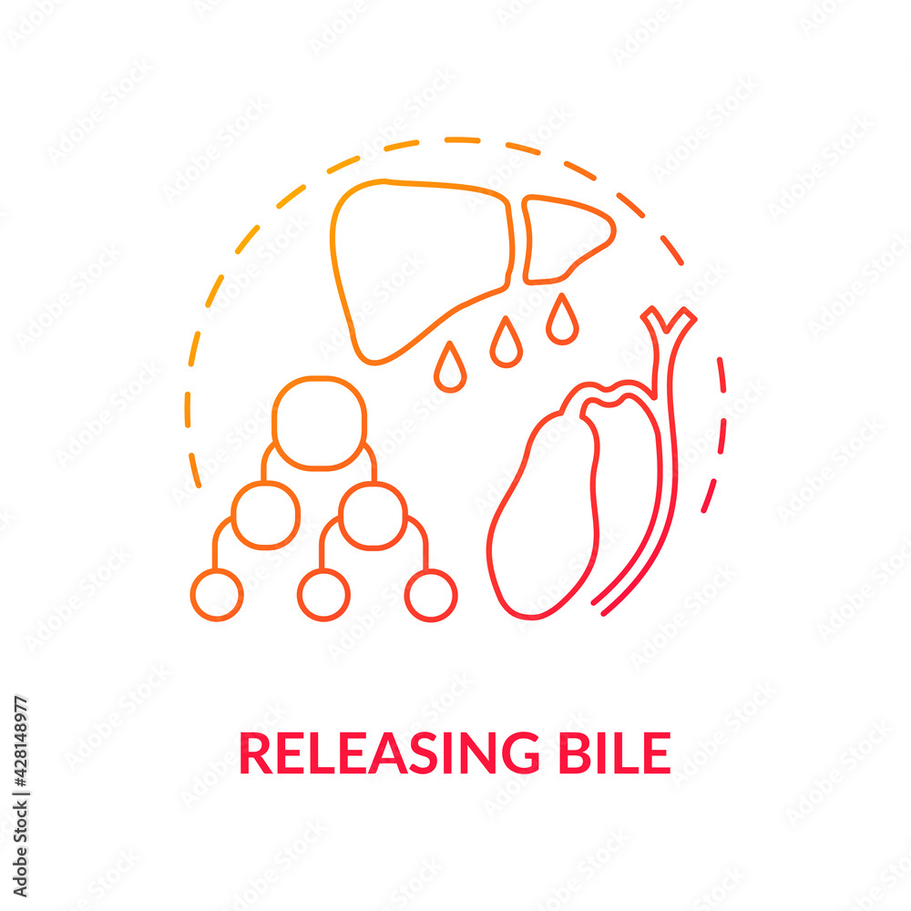 Releasing bile concept icon. Liver function idea thin line illustration ...