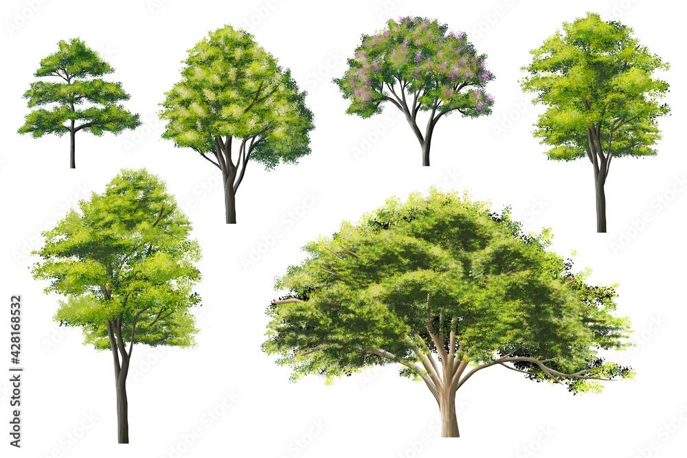 Collection of abstract watercolor tree side view isolated on white ...