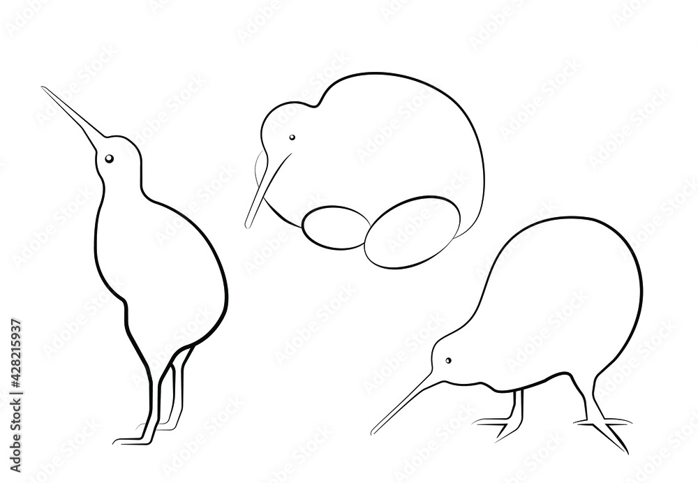 Set of flightless kiwi line art. Endemic endangered birdie of New ...