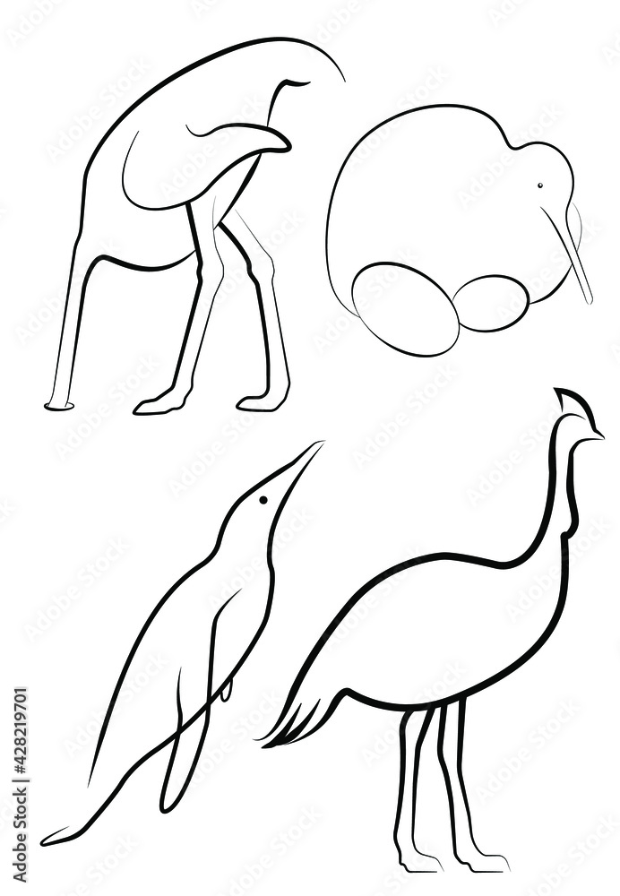 Set of flightless species vector outline illustrations. Birds in ...