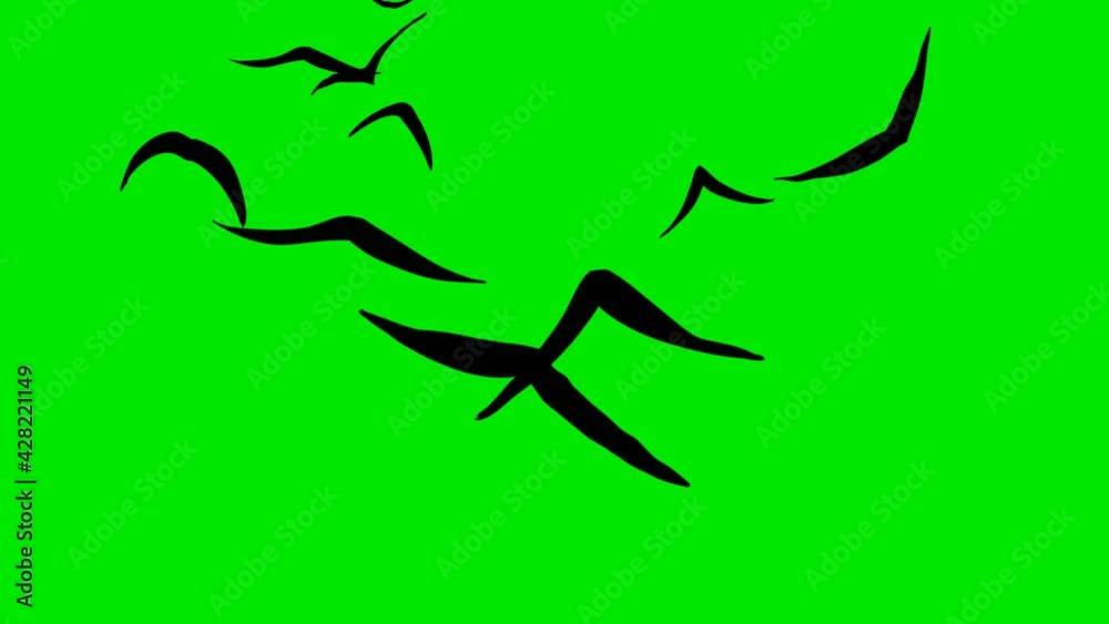 ANIMATED FLOCK OF BIRDS Animated flock of birds flies.Green screen ...