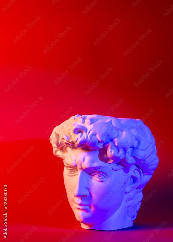 Gypsum statue of David's head. Michelangelo's David statue plaster copy ...