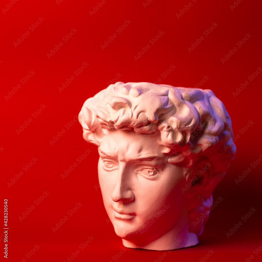 Gypsum statue of David's head. Michelangelo's David statue plaster copy ...