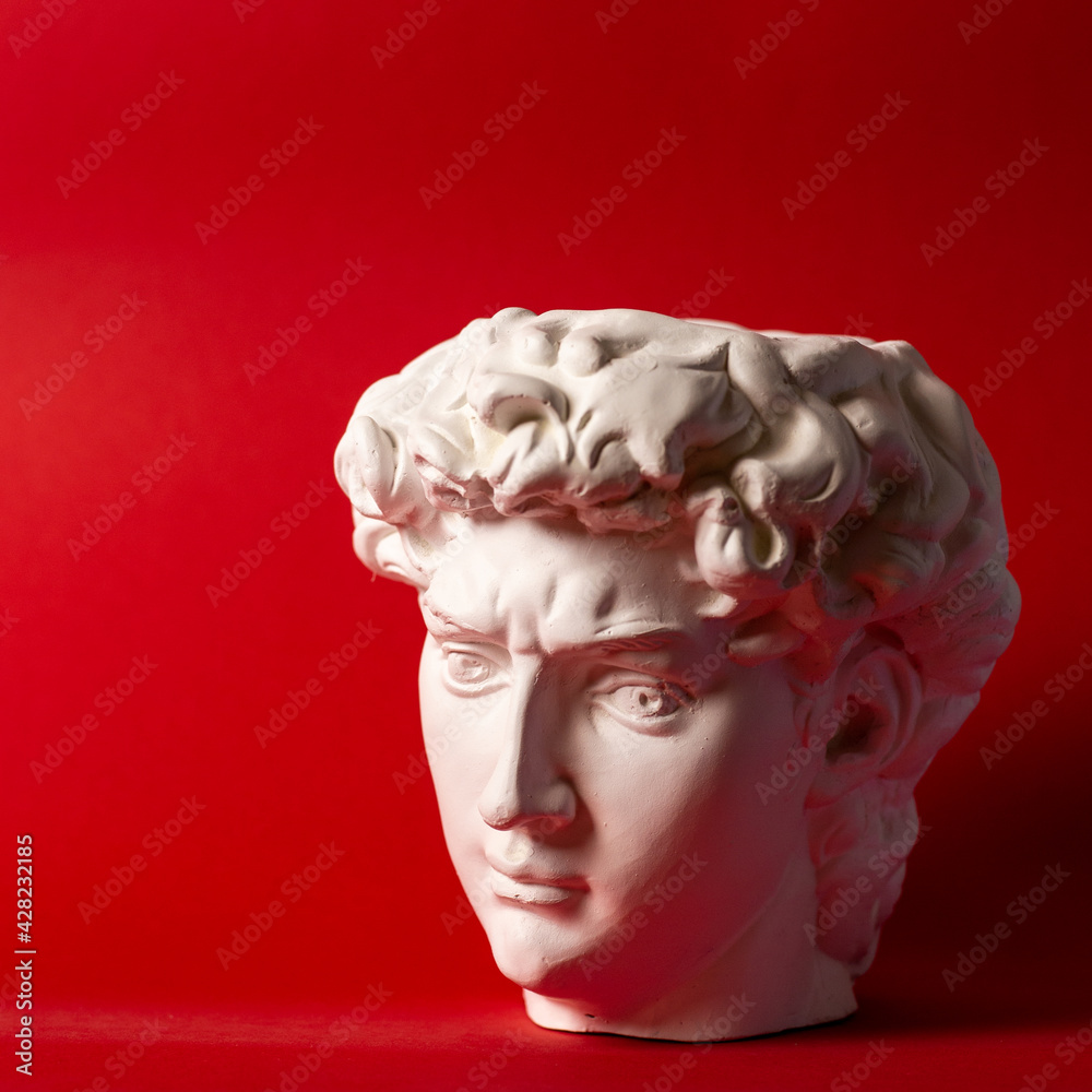 Gypsum statue of David's head. Michelangelo's David statue plaster copy ...