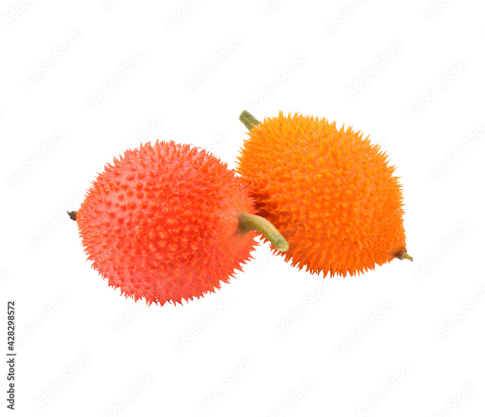 Closeup Gac fruit ( known as Spring Bitter Cucumber, baby jackfruit ...