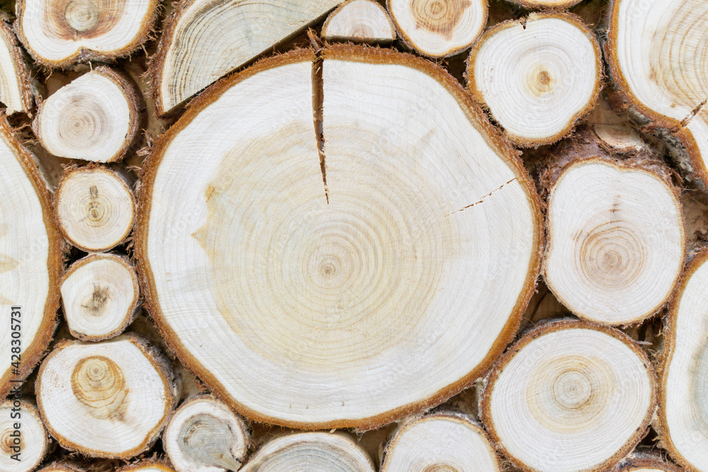 Cross cut of tree trunks for a backdrop. Round chocks with bark, cracks ...