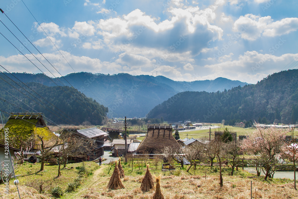 Poster Rice fields and old thatched-roof houses in Kitamura, Miyama ...
