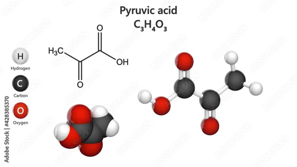 Pyruvic Acid Molecule