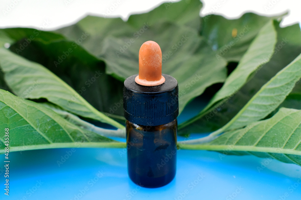 Green herbal leaves, Bitter leaf tree, Gymnanthemum extensum, Vernonia ...