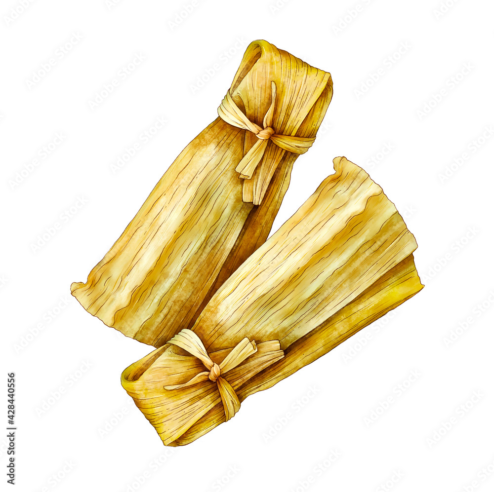 Homemade Wrapped Tamales isolated on white background. Hand painted ...