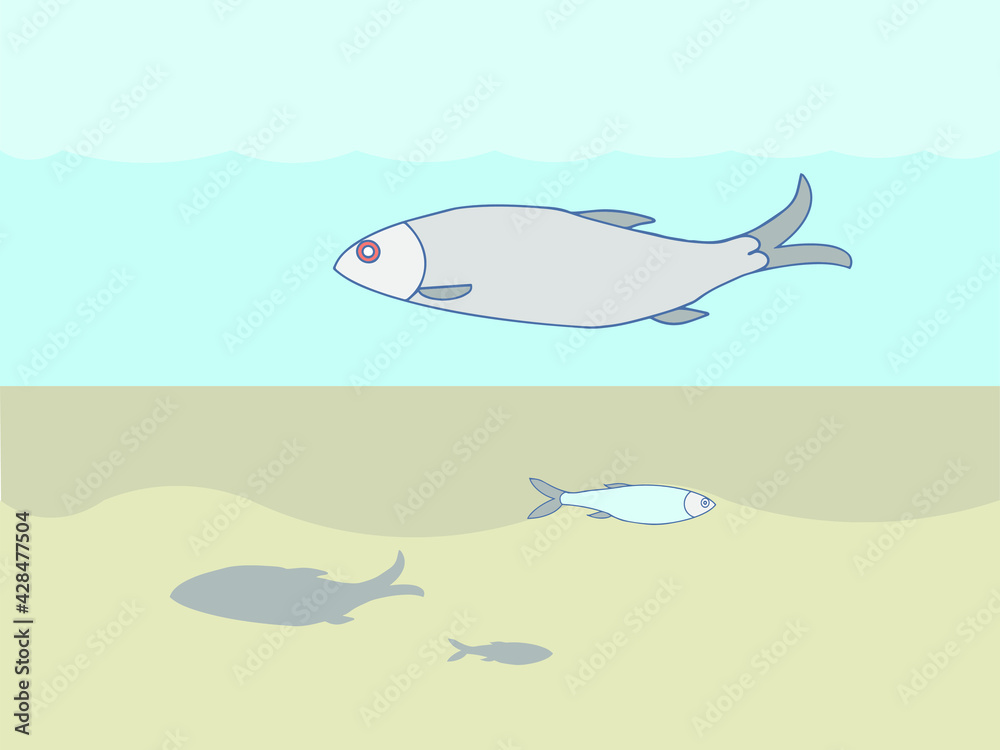 Fish swimming in clear water. Two fish herring and sprat against the ...