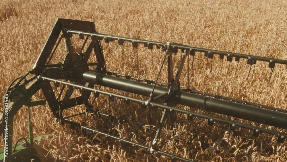 Vídeo do Stock: Footage of a green combine harvester's cutter bar ...