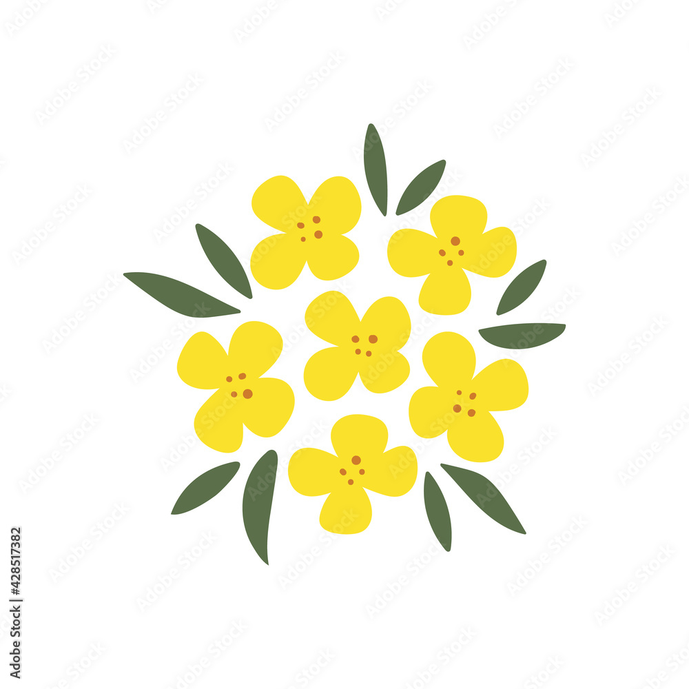 Hand-drawn yellow rapeseed flower. Blooming branch for postcards, logos ...