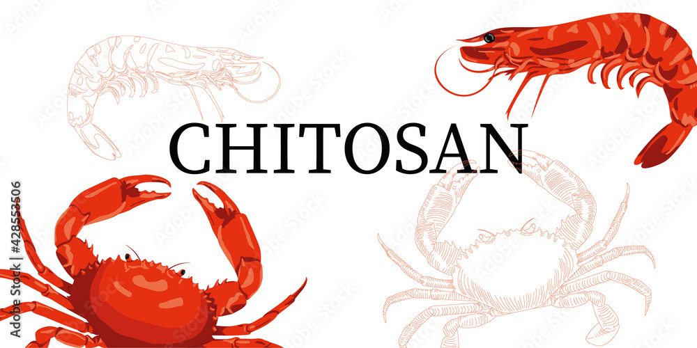 Chitosan is a dietary supplement. For weight loss and weight control ...
