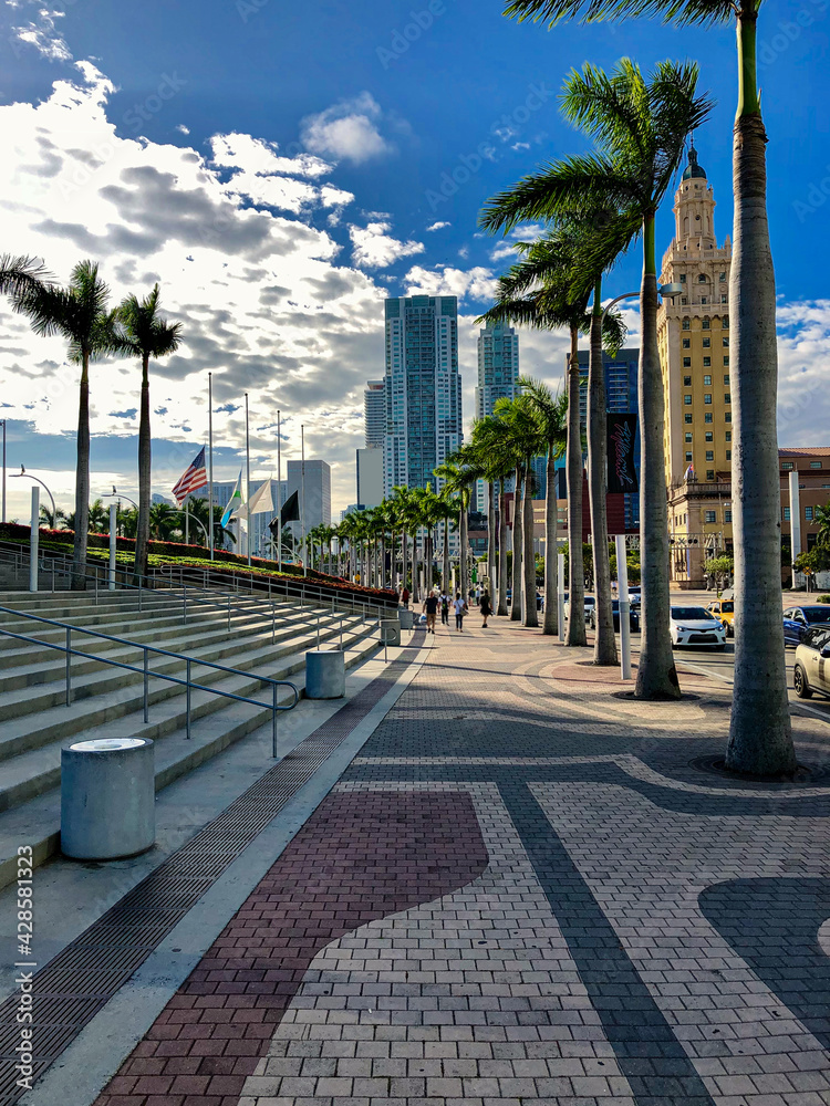 Modern architecture downtown Miami Brickell Area with cruise port and ...