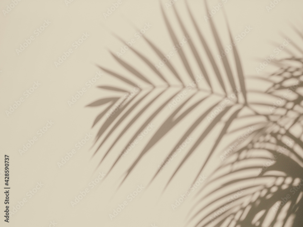 Abstract neutral nature background with sunlight and shadow of tropical ...
